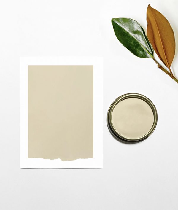BARLEY - madebypaint