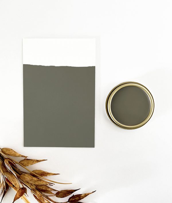 OLIVE BRANCH - madebypaint